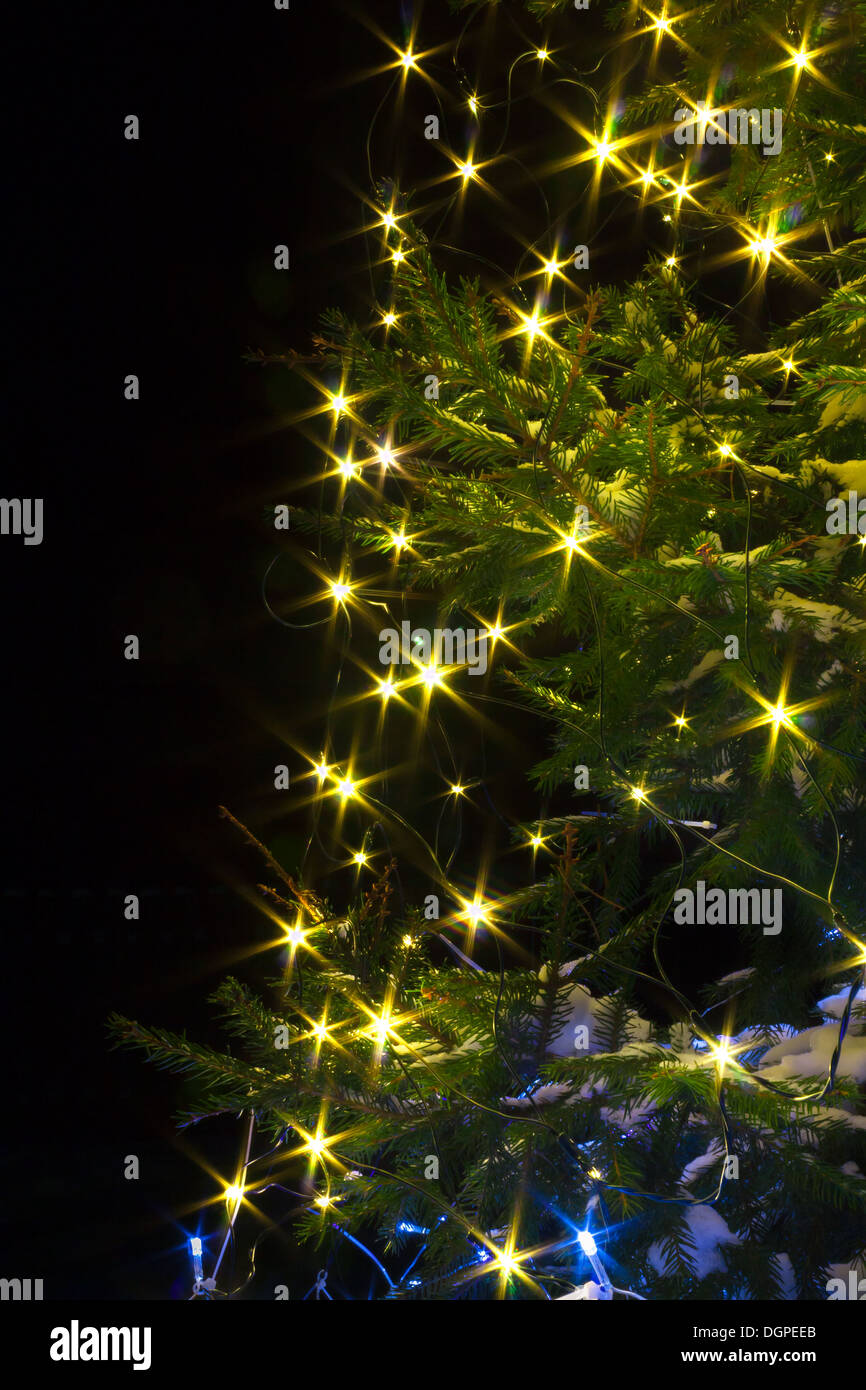 Christmas tree night with lights Stock Photo - Alamy