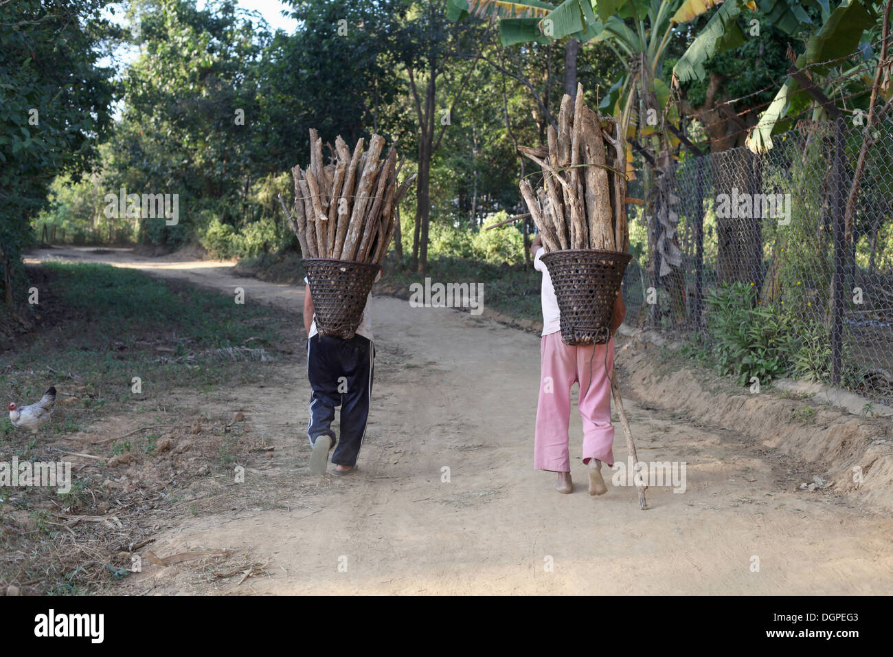 Old woman carrying wood on hi-res stock photography and images - Alamy