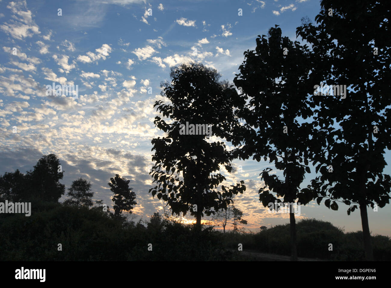 Peren district hi-res stock photography and images - Alamy