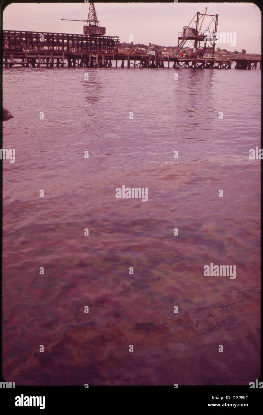 This image shows oil from a tanker terminal floating on the Providence ...