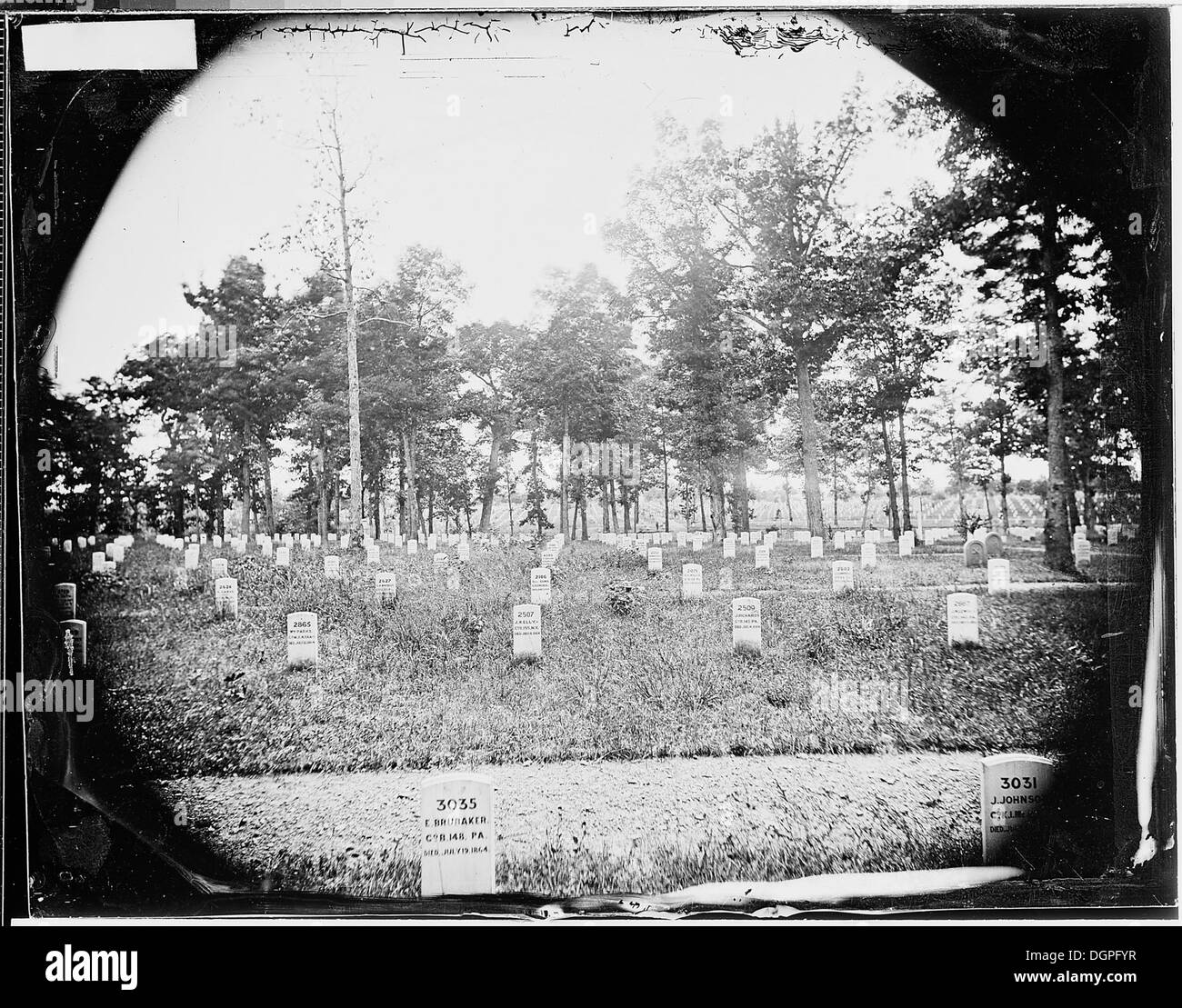 A peaceful view within the National Cemetery, showcasing rows of ...