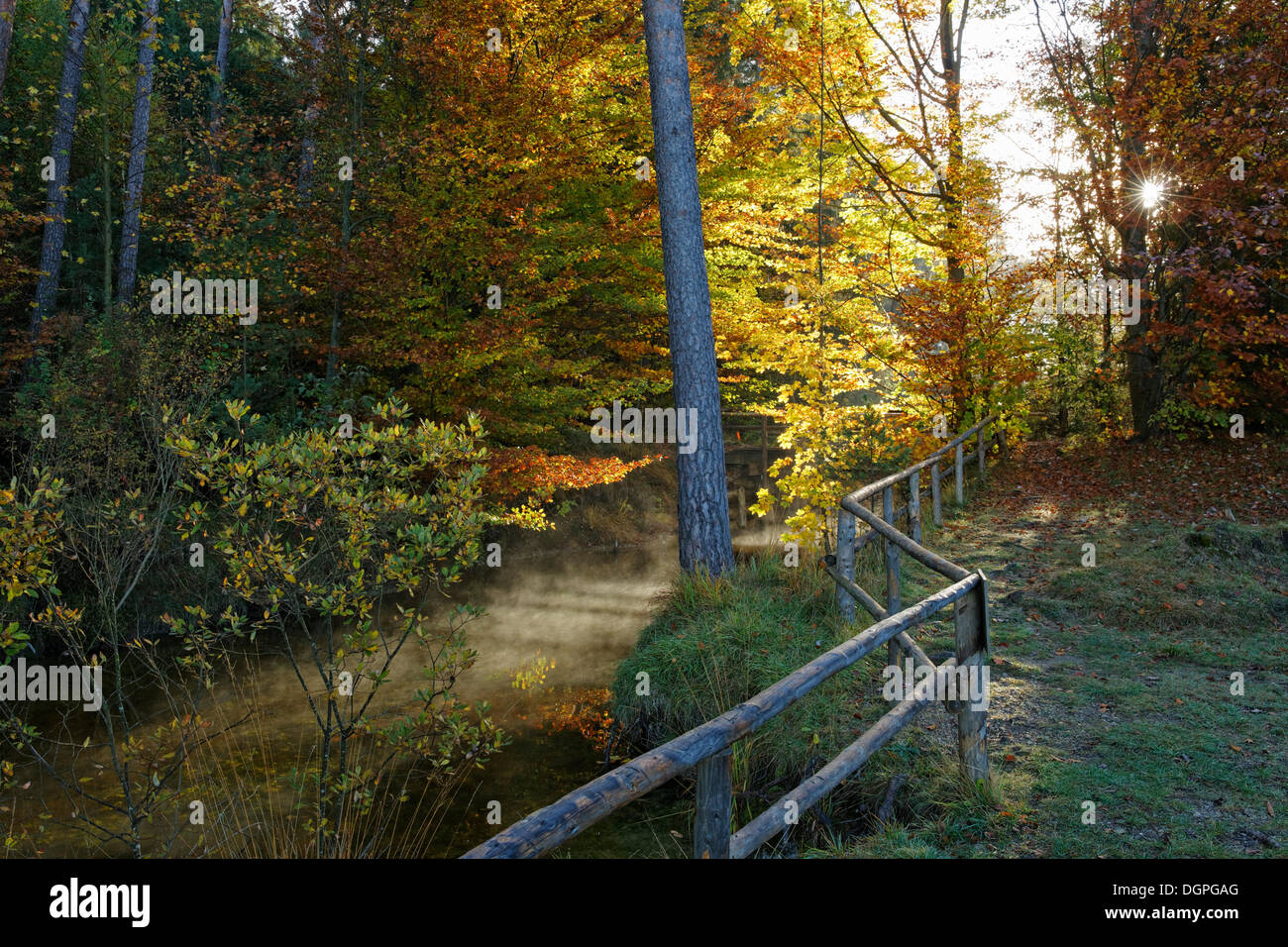 Stream in landscape hi-res stock photography and images - Alamy