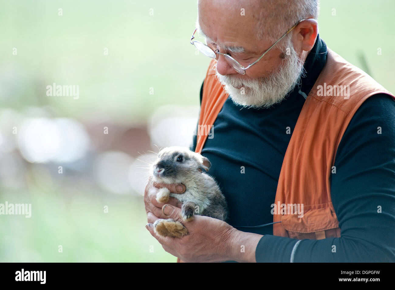 Older rabbit hi-res stock photography and images - Alamy