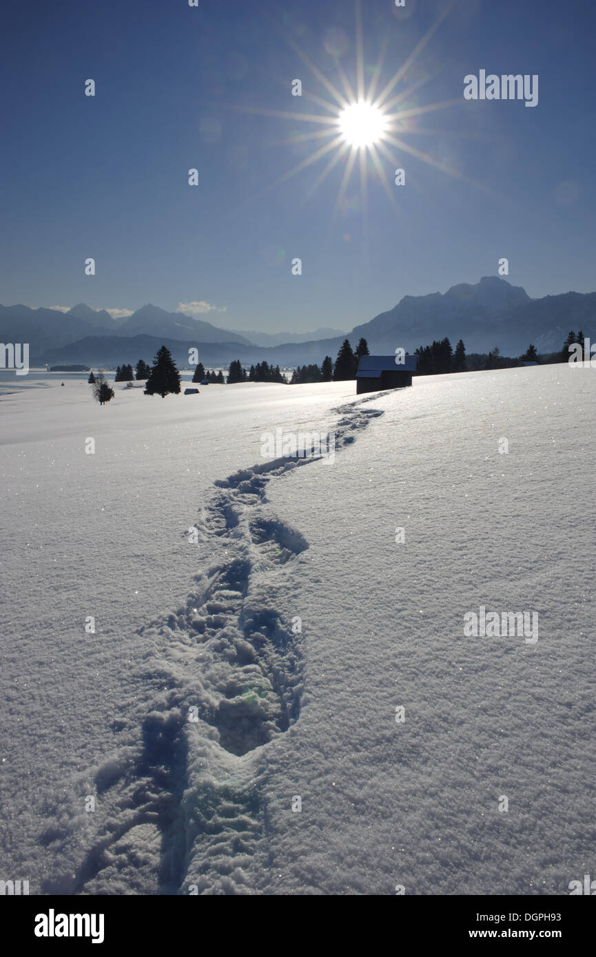 Footpath in the alps hi-res stock photography and images - Alamy