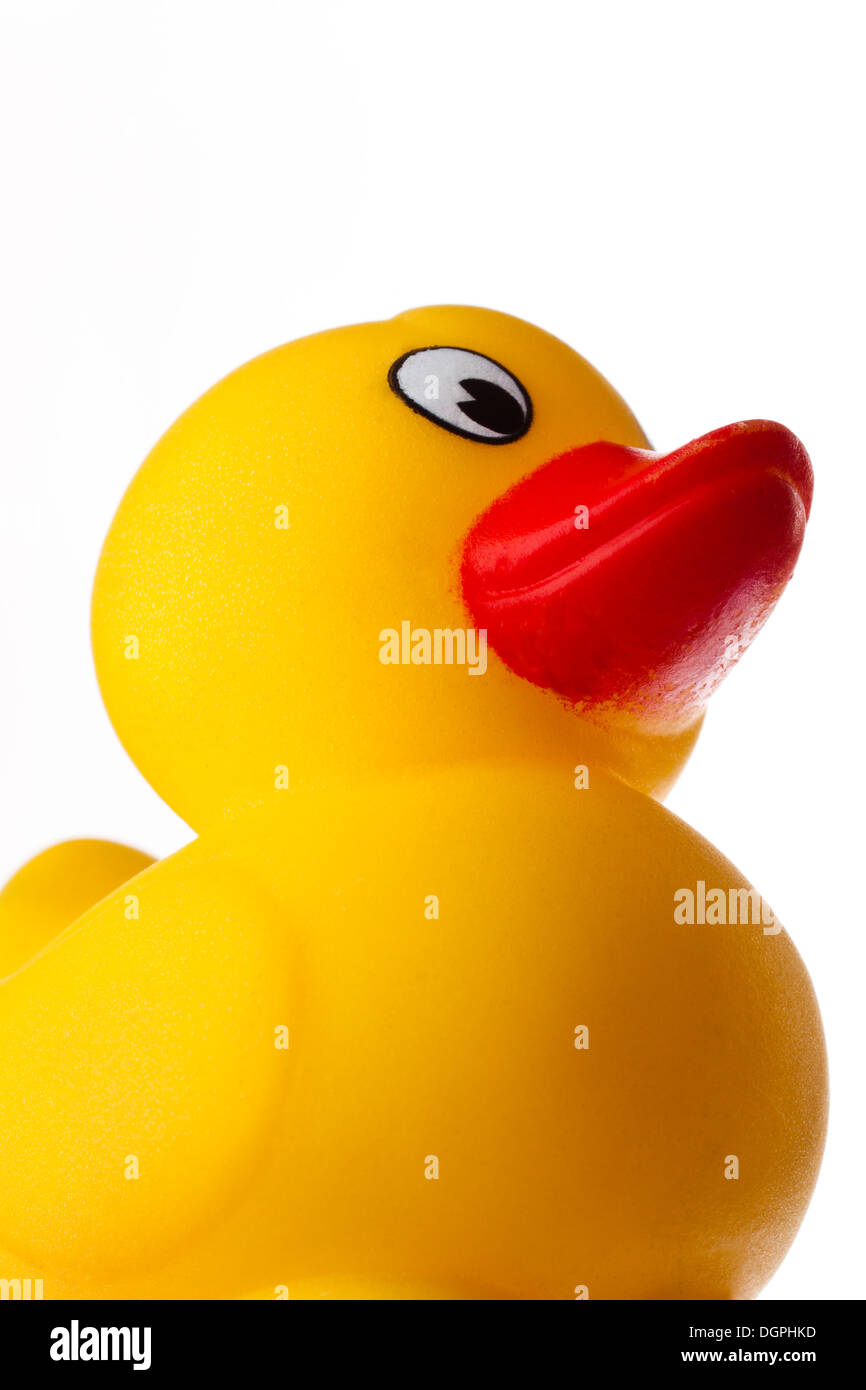 Cute yellow rubber duck hi-res stock photography and images - Alamy
