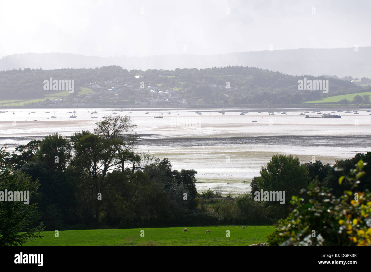 Exe Estuary, Devon UK Stock Photo - Alamy