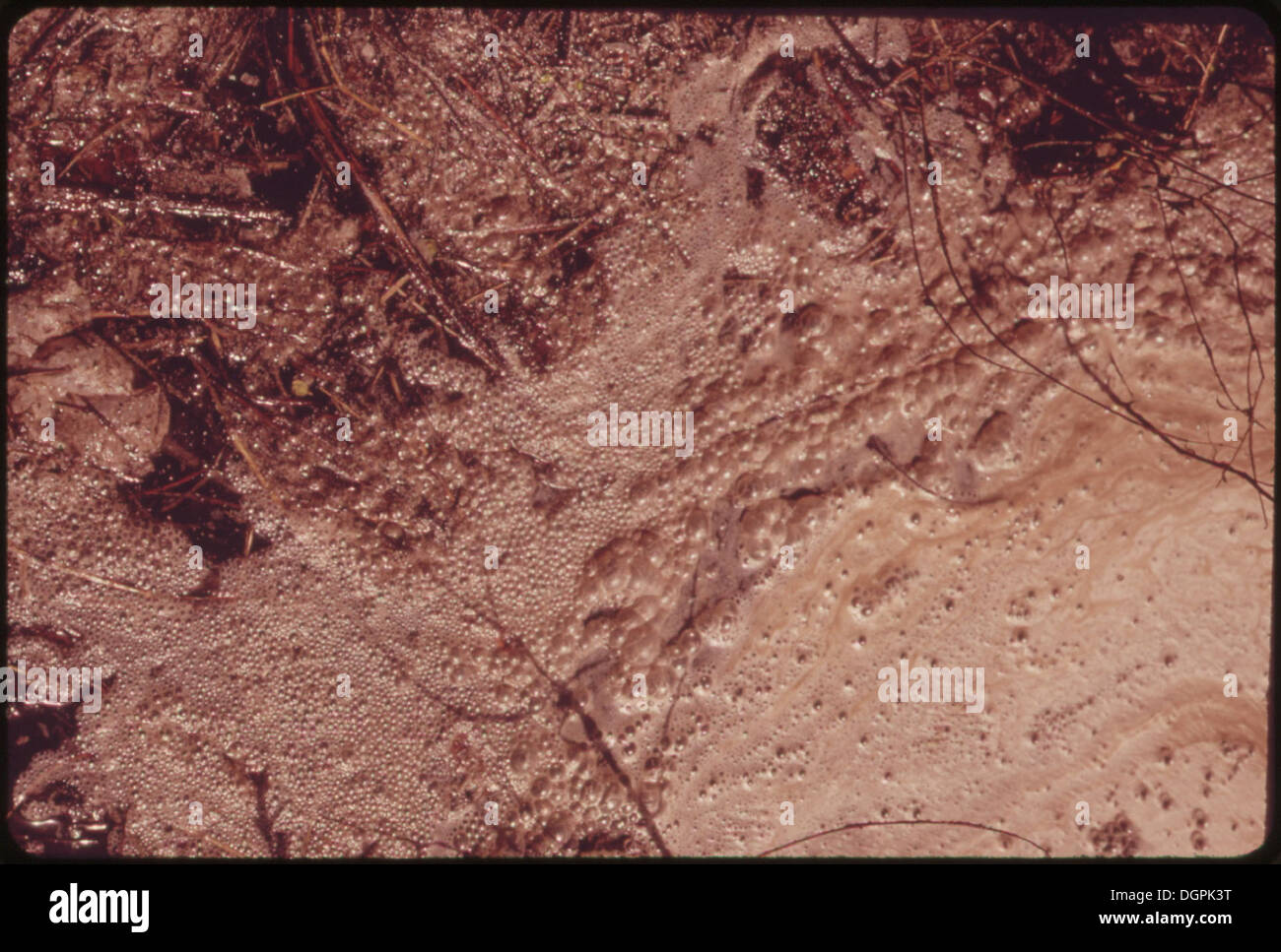 This photo shows raw sewage bubbling up into the Spokane River from the ...