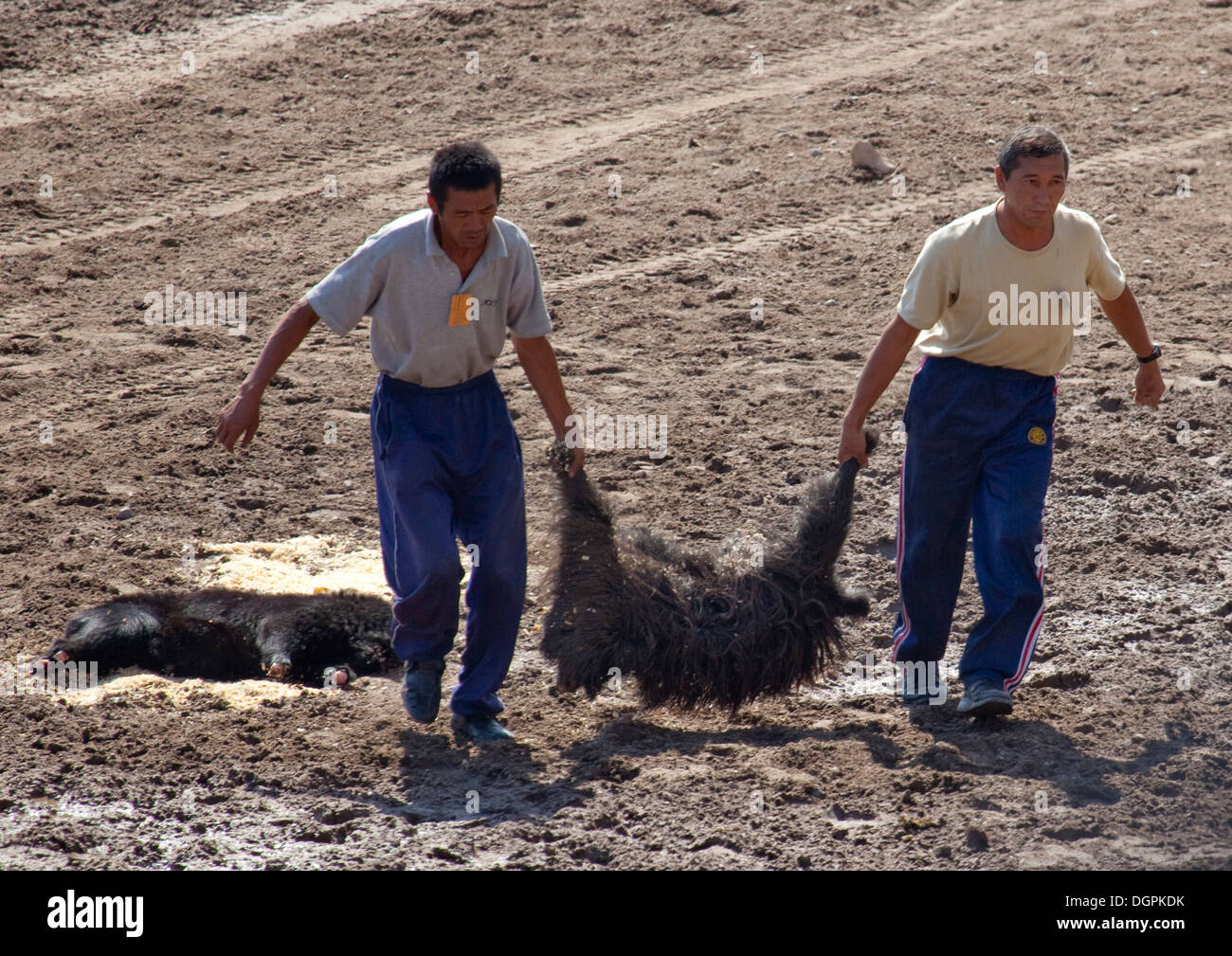 Male carrying goat hi-res stock photography and images - Alamy