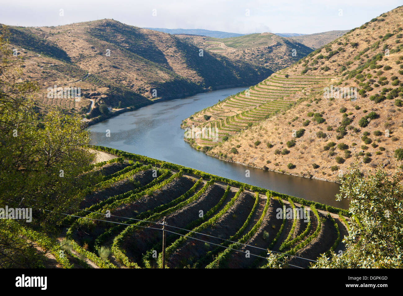 Duoro valley and vineyard hi-res stock photography and images - Alamy