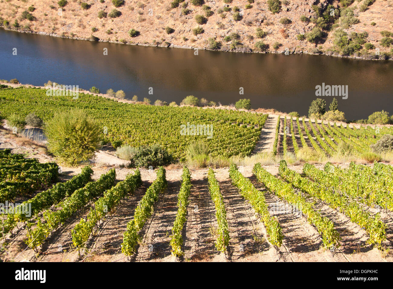 Duoro valley wine hi-res stock photography and images - Alamy