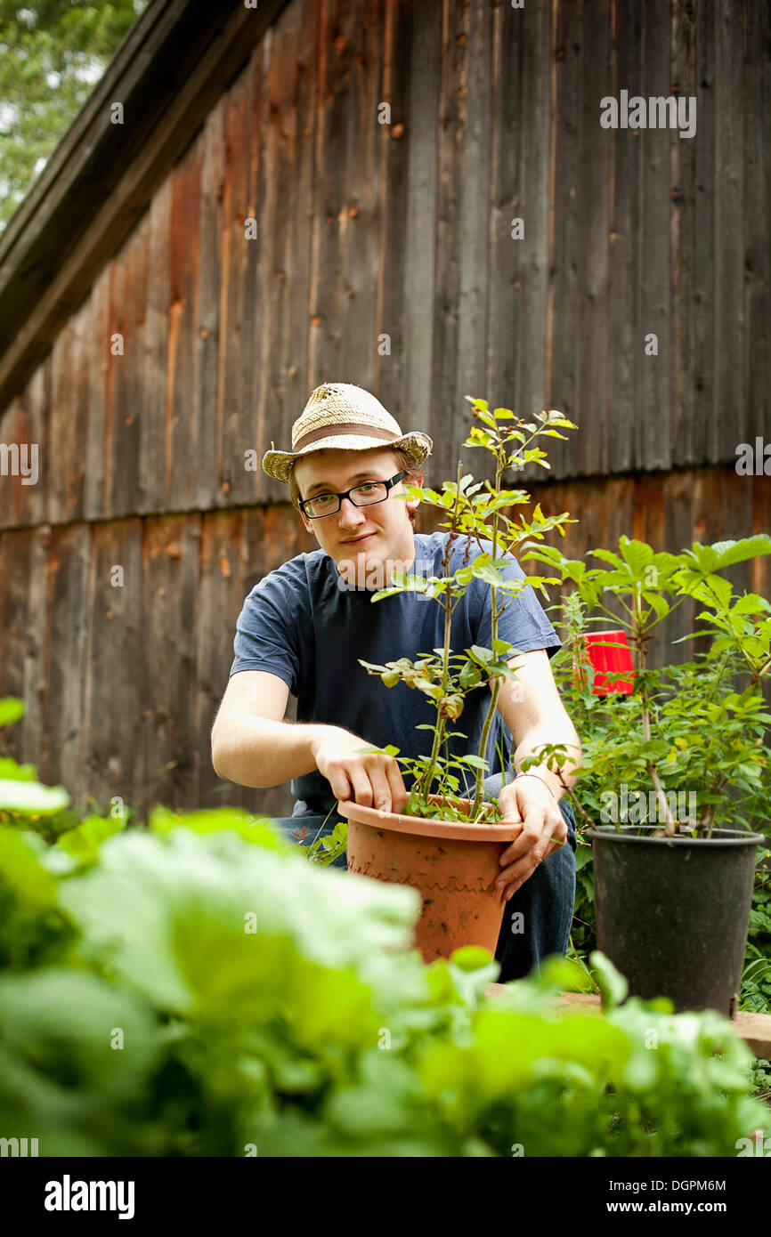Young man with trees in pots Stock Photo - Alamy