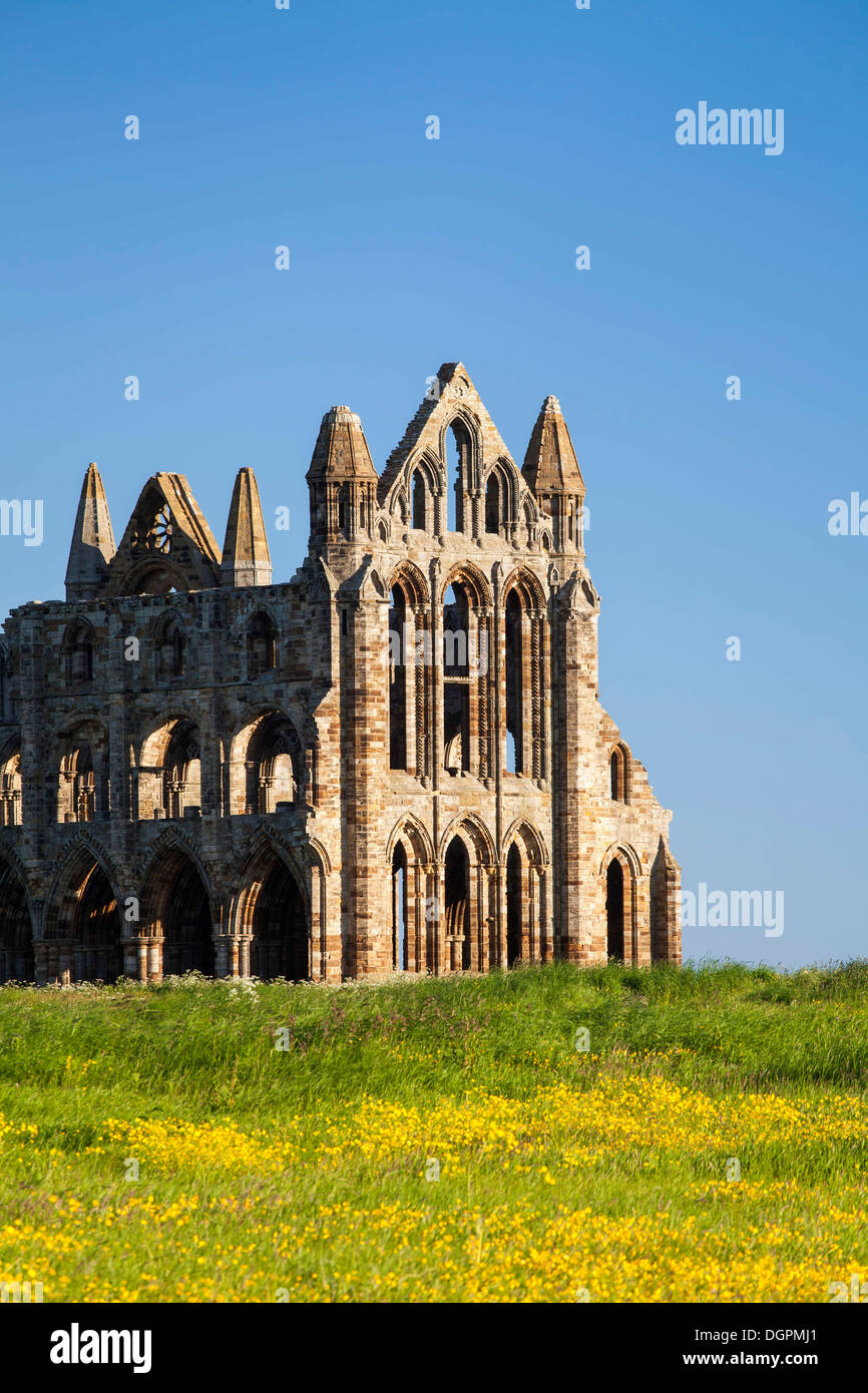 Whitby abbey yorkshire hi-res stock photography and images - Alamy