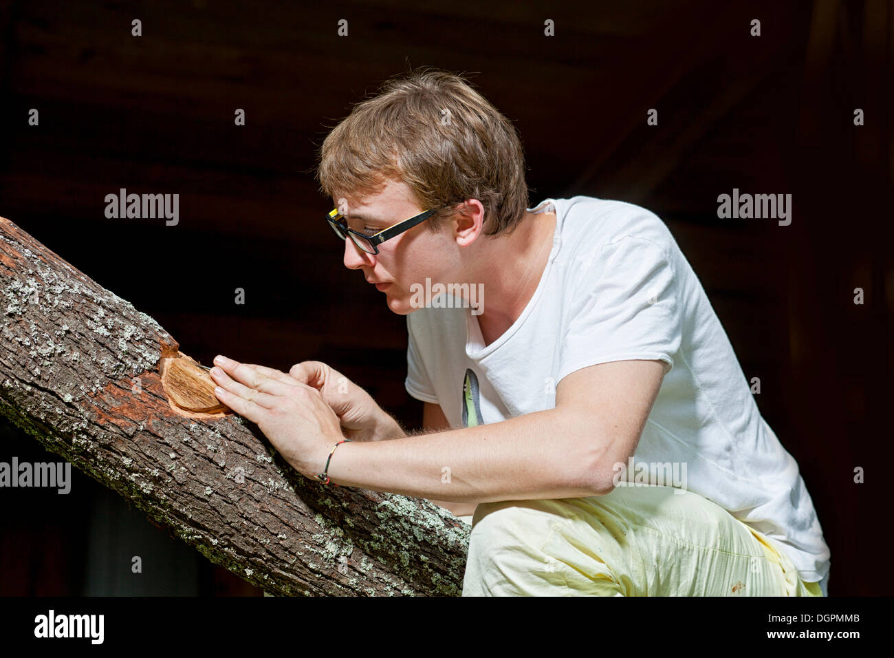 Carving tree love hi-res stock photography and images - Alamy