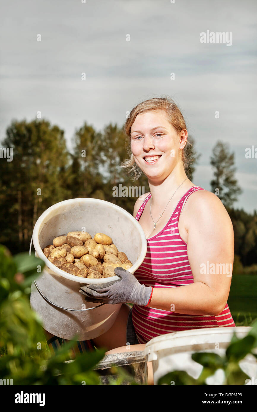 Red skinned potatoes hi-res stock photography and images - Alamy