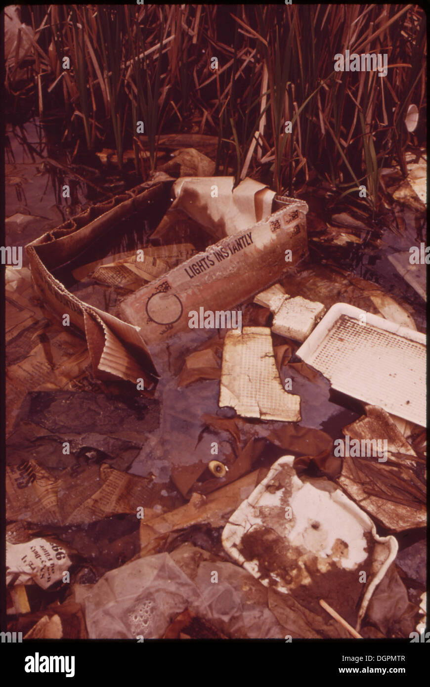 The Middletown dump, located near a salt marsh owned by the U.S ...