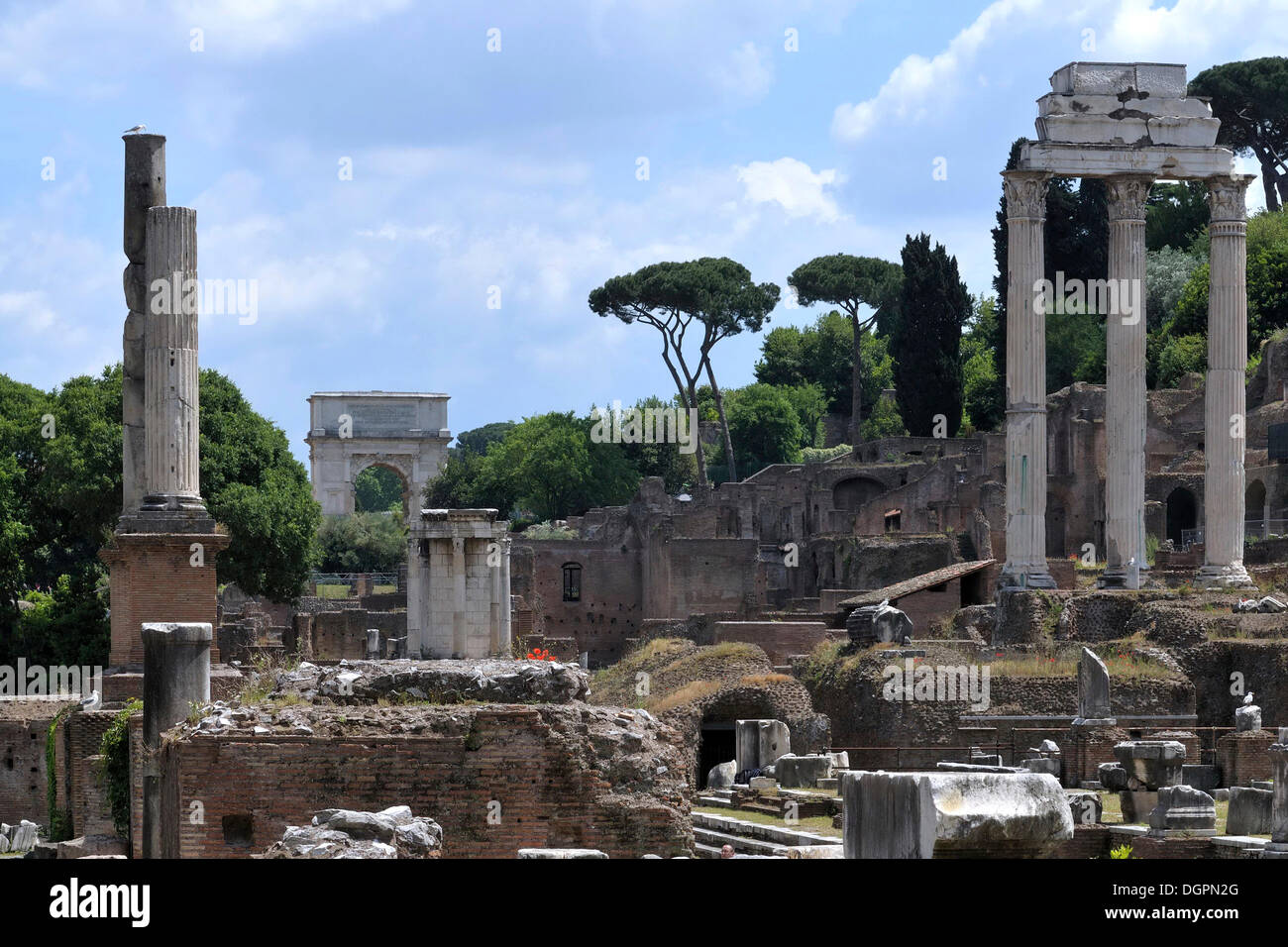 Roman Forum, Forum Romanum, Rome, Italy, Europe Stock Photo - Alamy