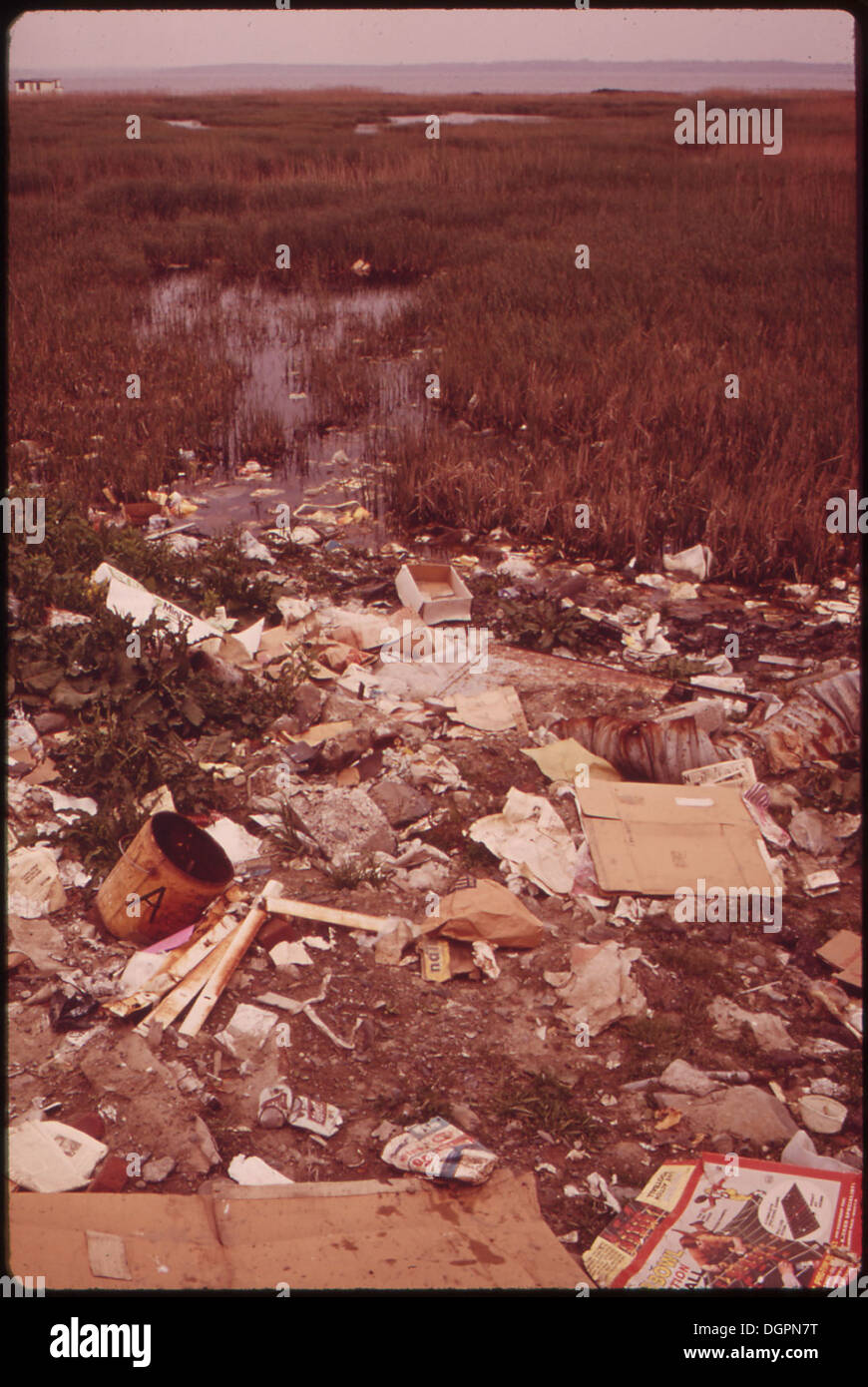 The Middletown Dump in proximity to the salt marsh highlights the ...