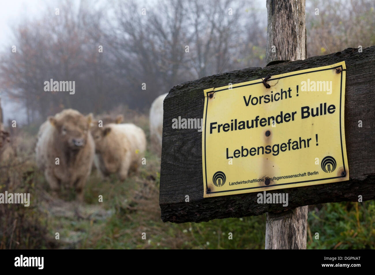 Cattle breeding signs hi-res stock photography and images - Alamy