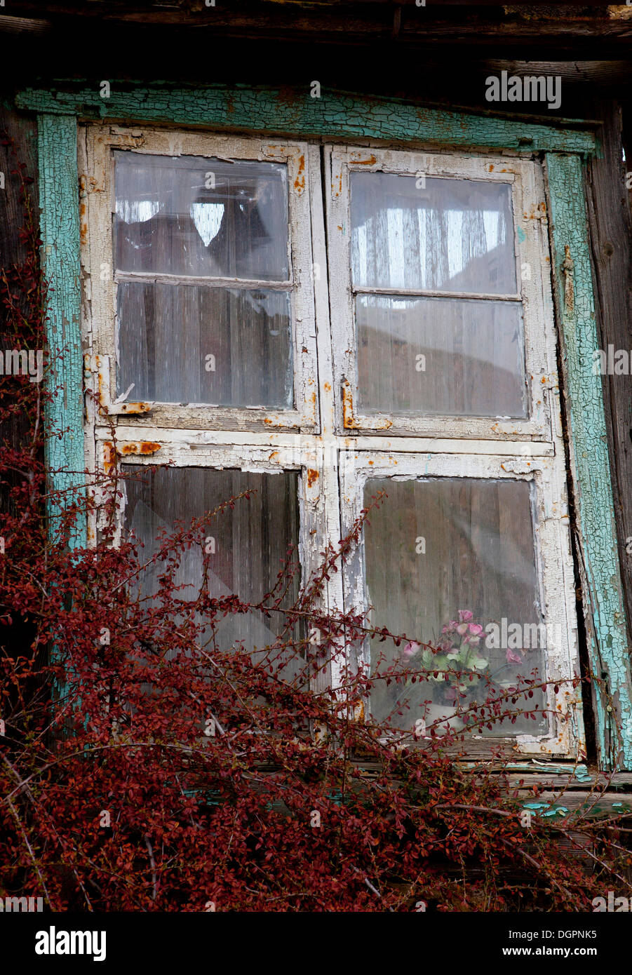 Weathered window on an old unoccupied farmhouse in Gruenefeld ...