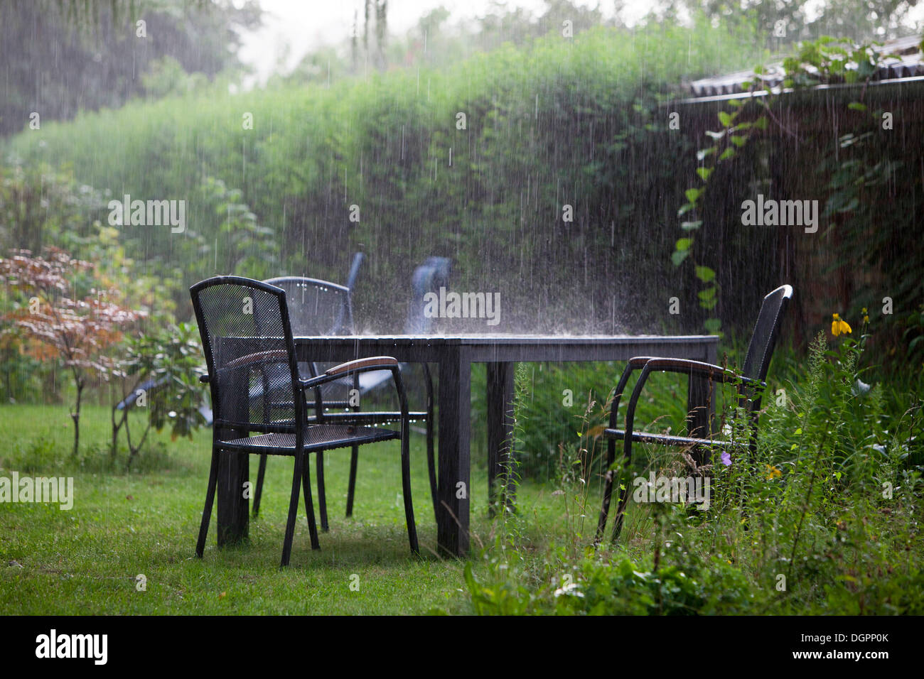 Raining and garden hi-res stock photography and images - Alamy