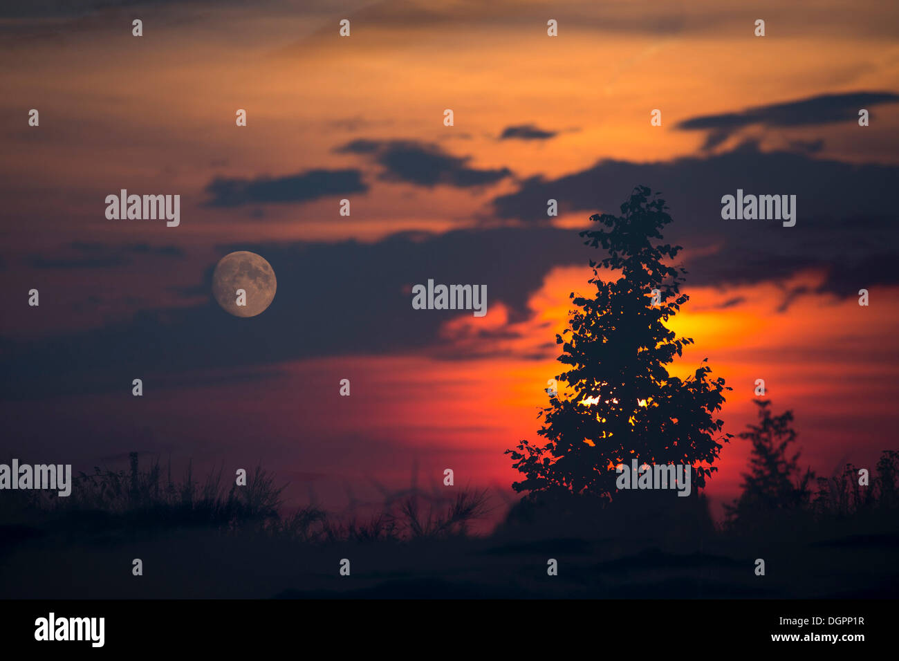 Double exposure with moon hi-res stock photography and images - Alamy