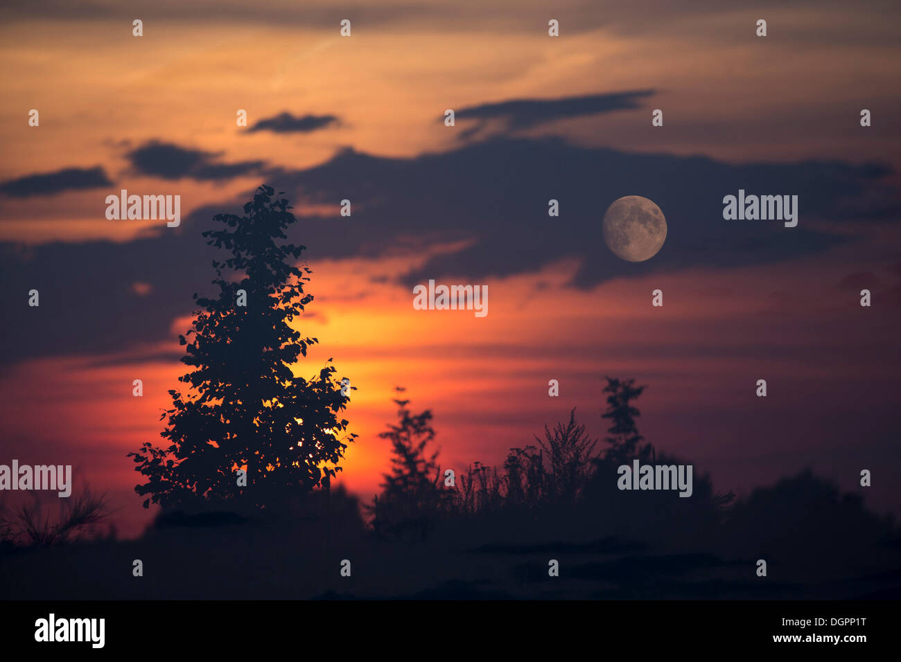 Double moon hi-res stock photography and images - Alamy