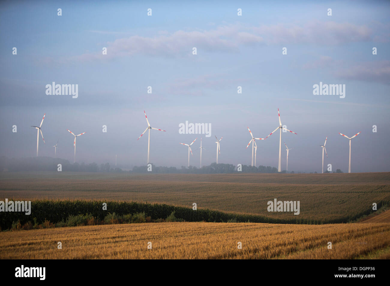 Views of a wind farm near Nauen on an autumn morning, Havelland region ...