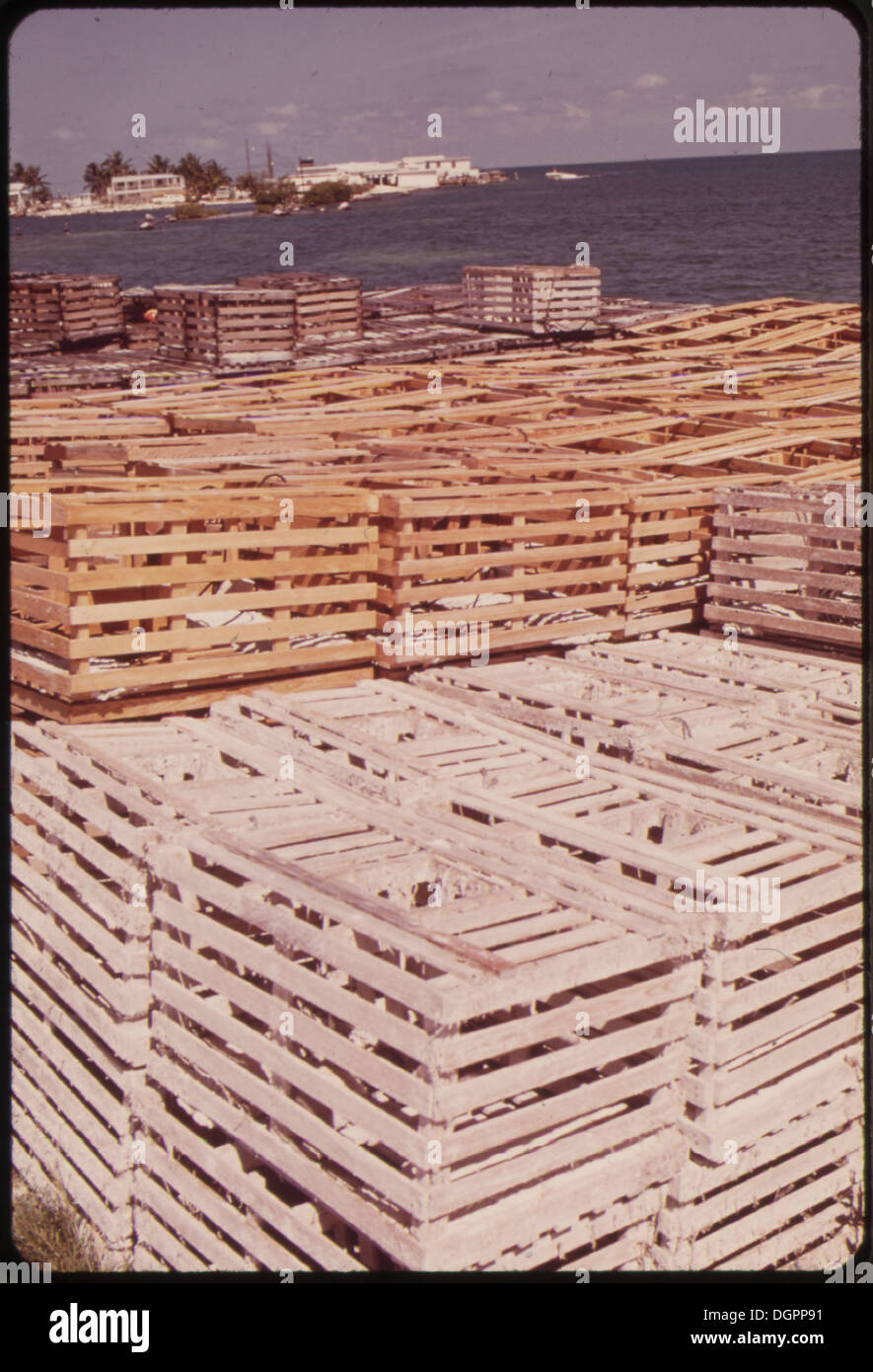 Lobster traps are stored across Tiny Conch Key during the off-season ...