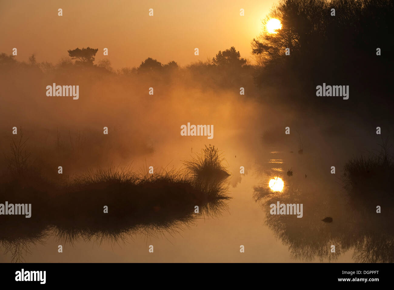 Venne hi-res stock photography and images - Alamy