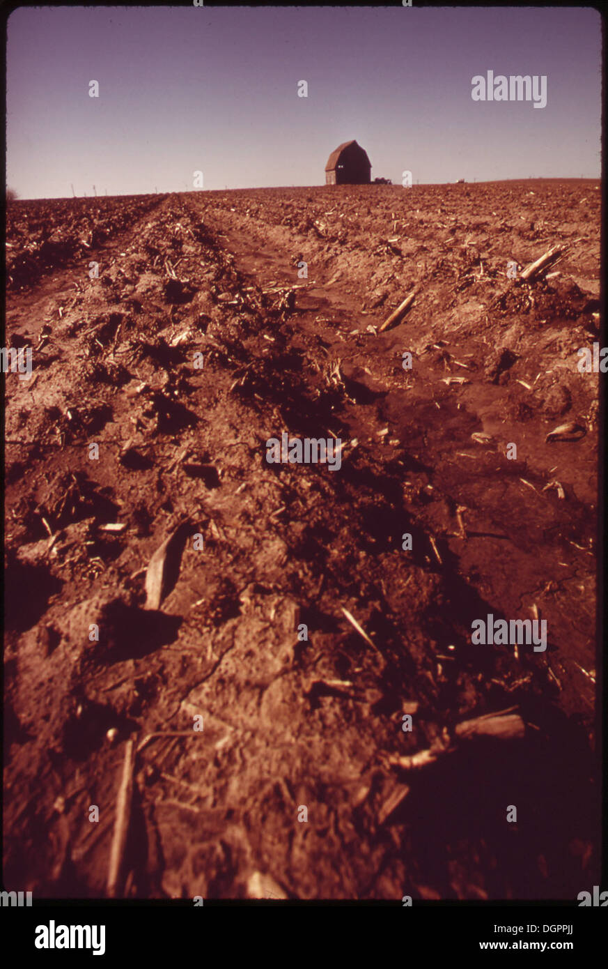 A large seeded area in the eastern Nebraskan plains, reflecting typical ...