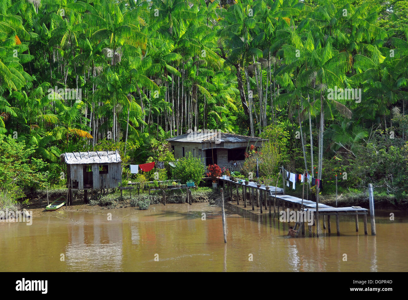 Typical wooden huts by the water, Amazonas, Brazil, South America Stock ...