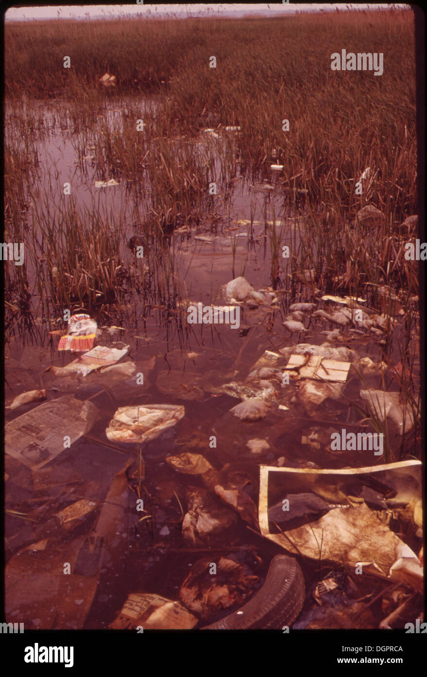 This image shows a dump in Middletown spilling over into Salt Marsh ...