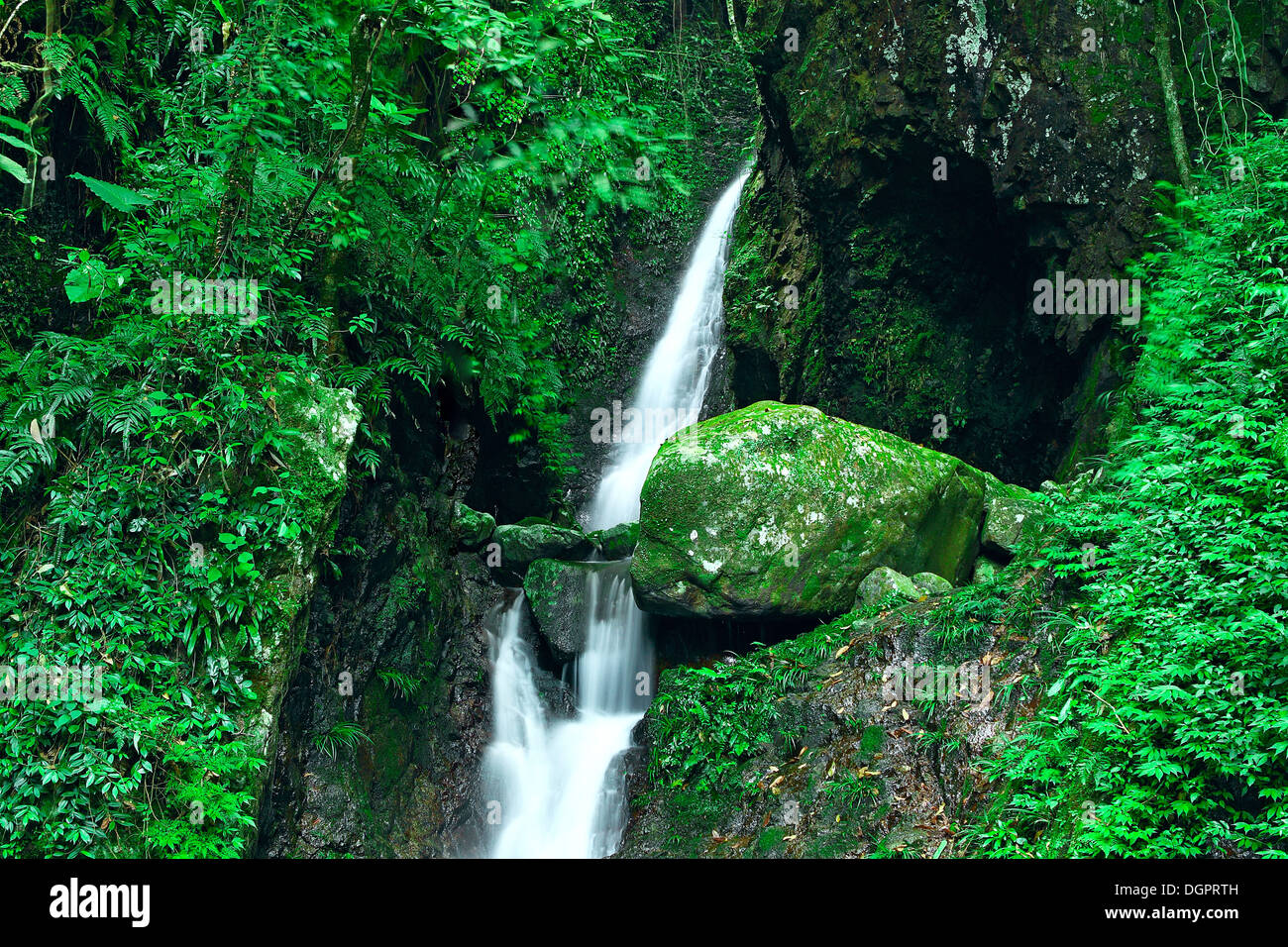 Deep forest waterfall Stock Photo - Alamy