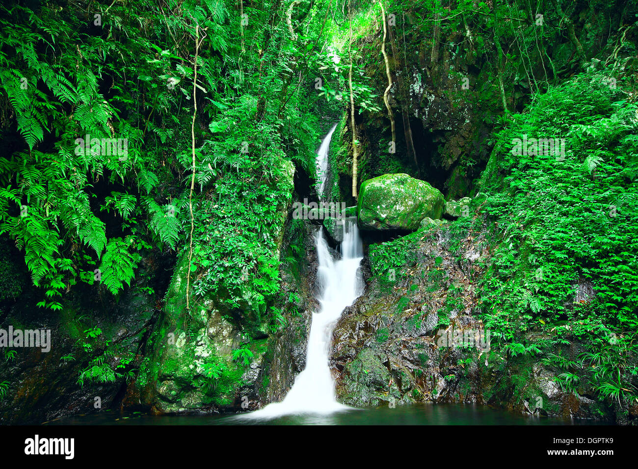Deep forest waterfall Stock Photo - Alamy