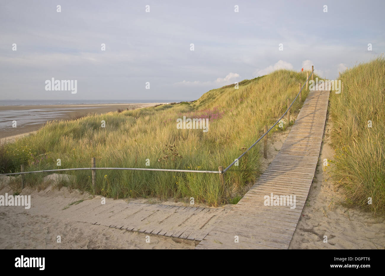 Dunes along the German North Sea Stock Photo - Alamy