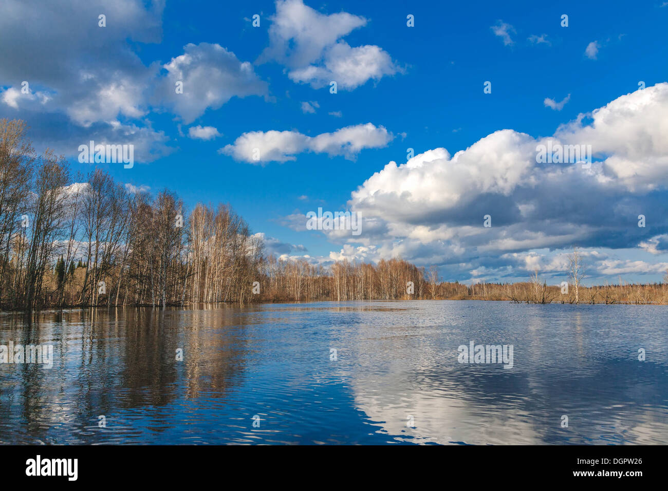Spring flood river Stock Photo - Alamy