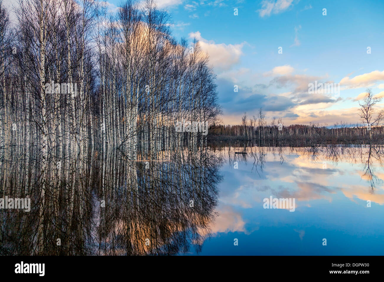 Spring flooding in Siberia Stock Photo - Alamy