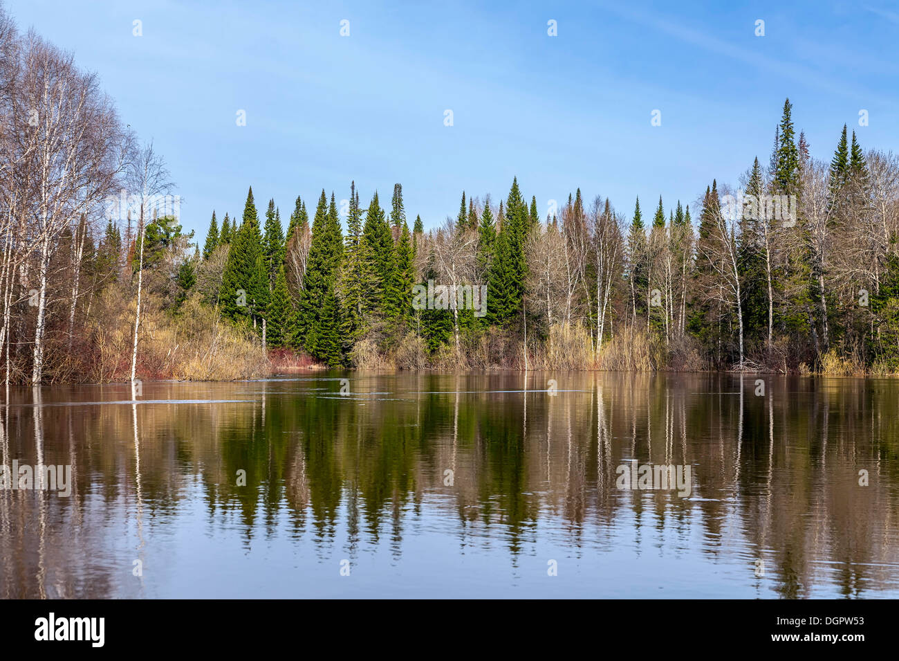 Spring flood river Stock Photo - Alamy