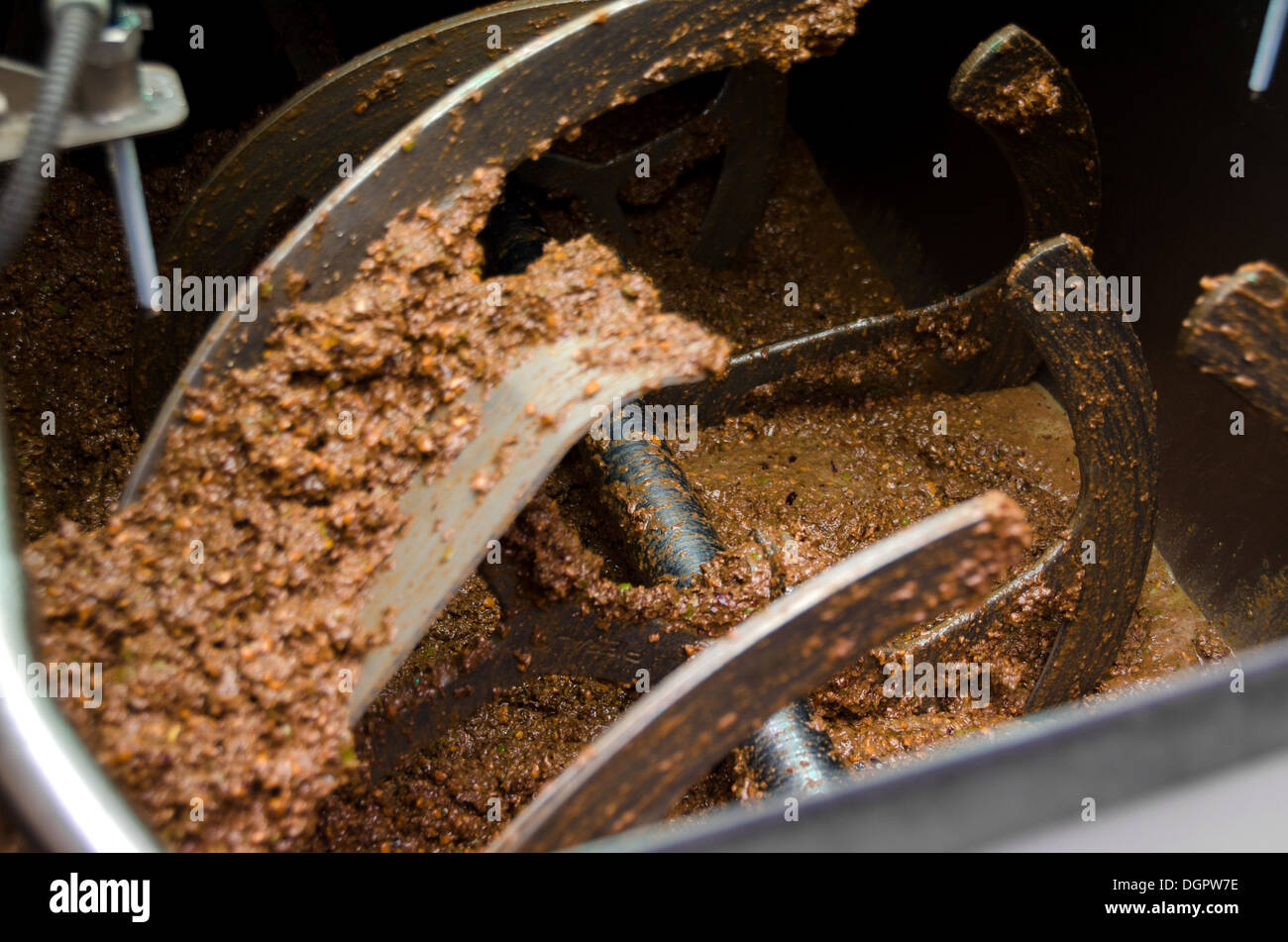 paste of crushed olives just for olive oil production Stock Photo - Alamy