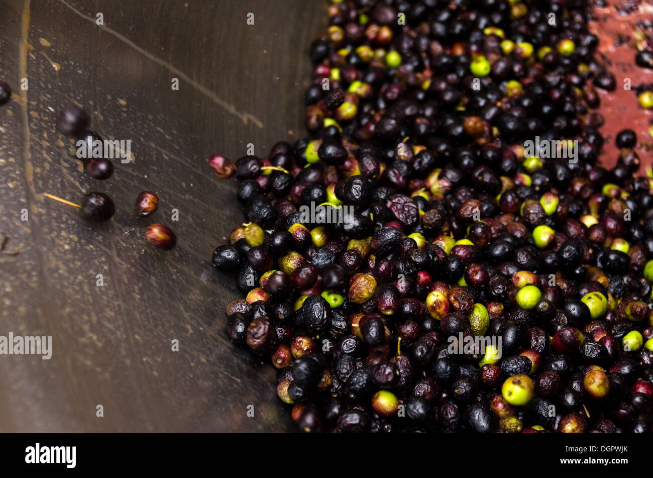 Olive crusher hi-res stock photography and images - Alamy