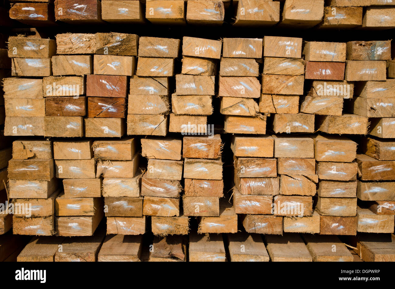 Timber logs storage hi-res stock photography and images - Alamy