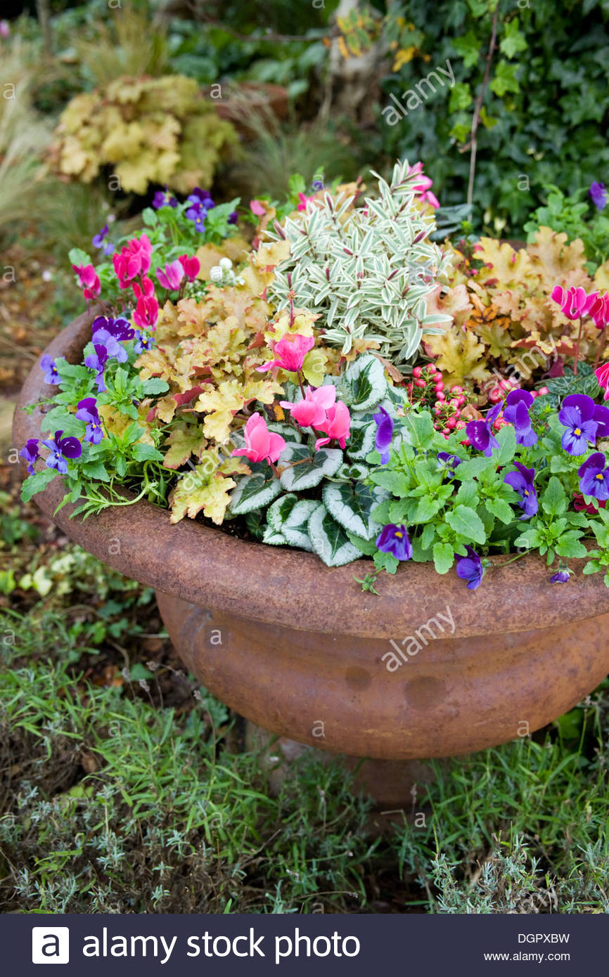 Colour Cast Stock Photos & Colour Cast Stock Images - Alamy