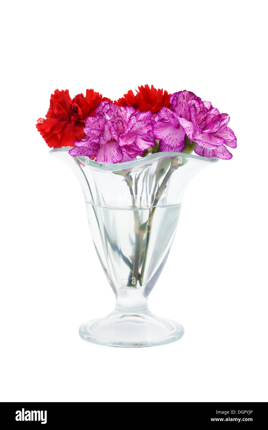 Carnation in a vase hi-res stock photography and images - Alamy