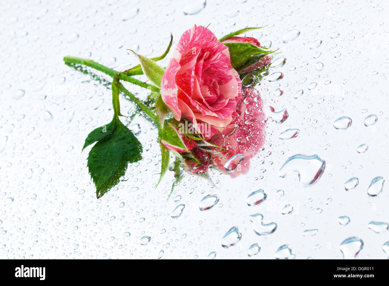 Dro symbol hi-res stock photography and images - Alamy