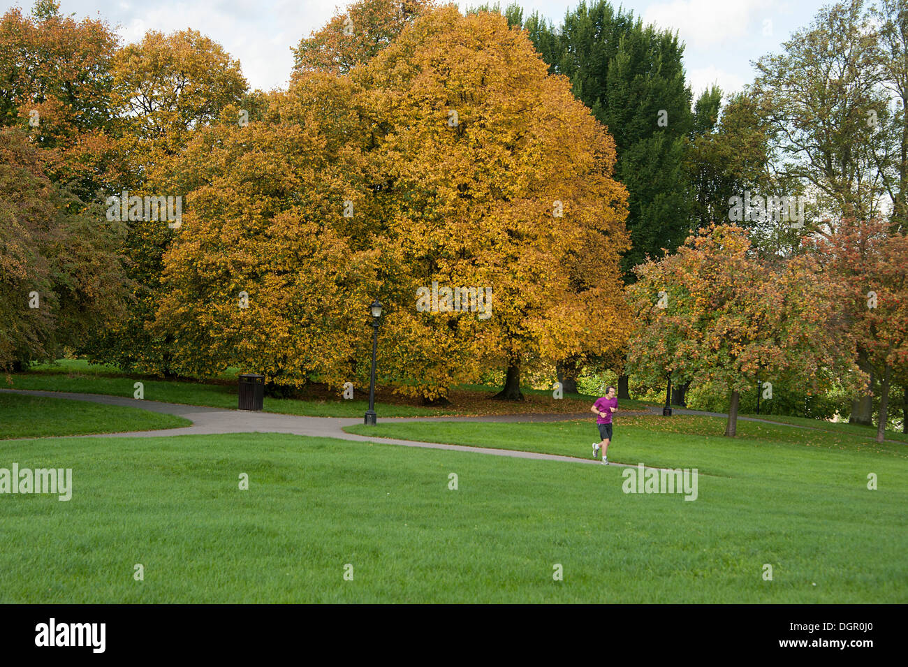 Changing colors during the Autumn season on Primrose Hill, London Stock ...
