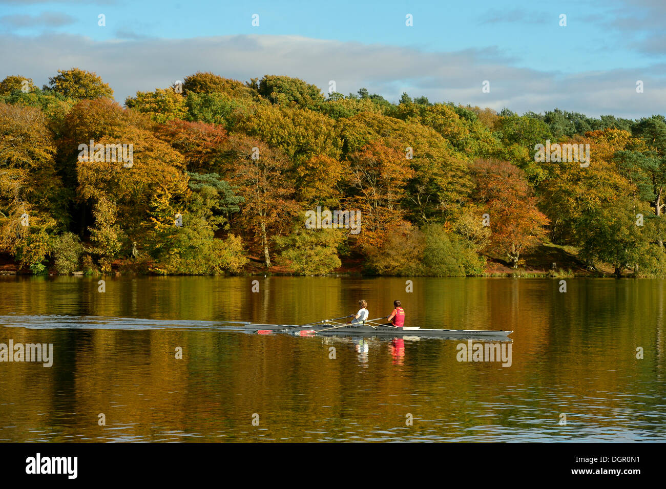 Talkin Tarn, Brampton, Cumbria. 24th Oct, 2013. Autumn weather. Rowers ...