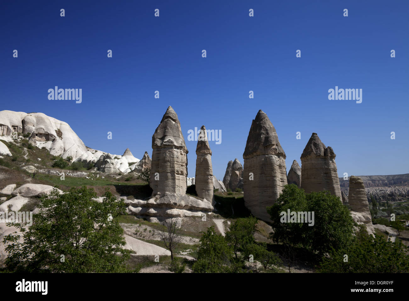 Fairy chimneys rock formations in Cappadocia. Turkey, Goreme Stock ...