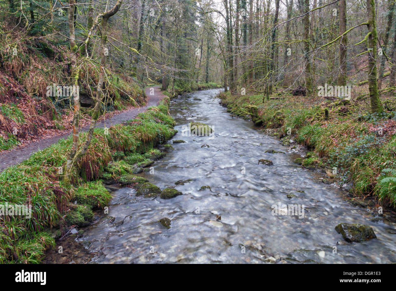 Bright rushing hi-res stock photography and images - Alamy