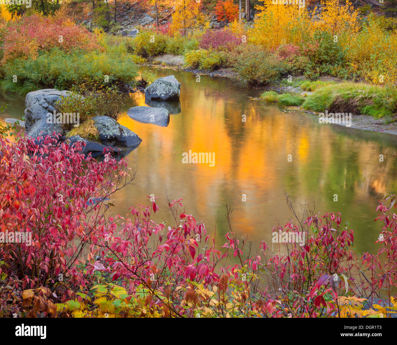 Wenatchee National Forest, WA: Fall colors reflecting on the Wenatchee ...