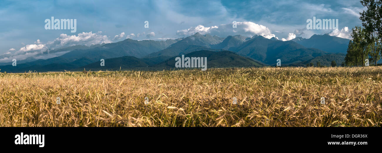 Gold mountains hi-res stock photography and images - Alamy